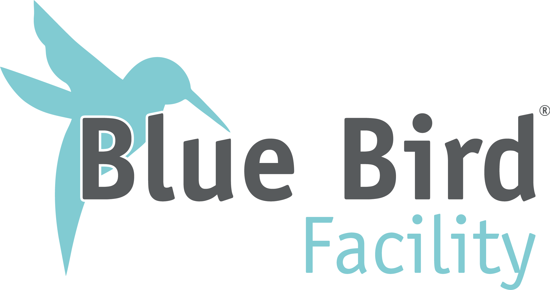 Home - Blue Bird Facility GmbH